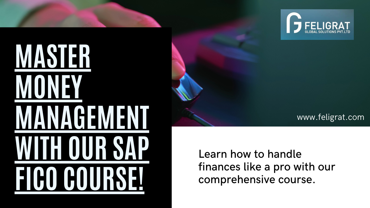 Master Money Management: Dive Into Our SAP FICO Course Today! - Feligrat